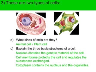 The basis of life | PPT