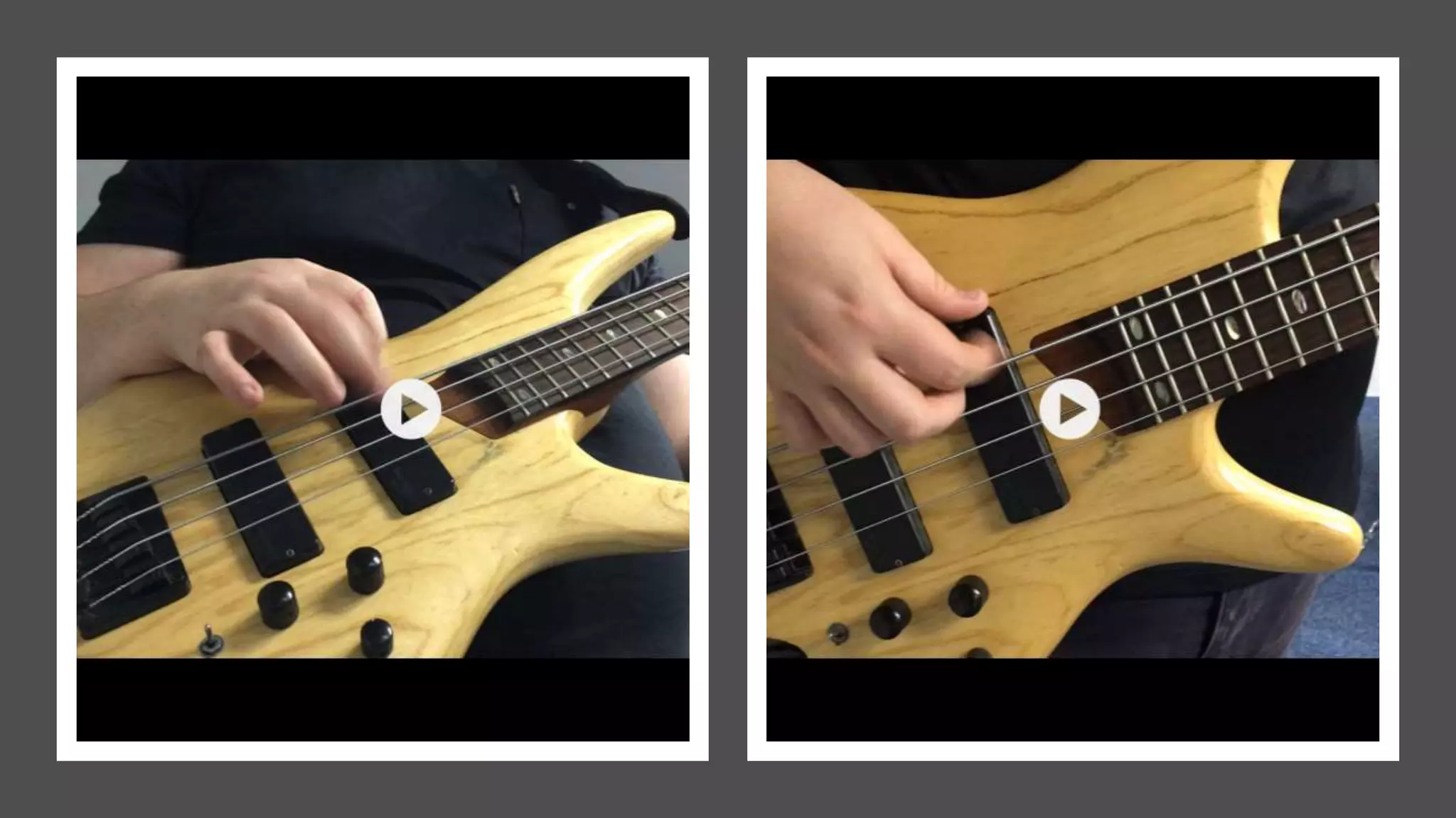 The bass | PPT