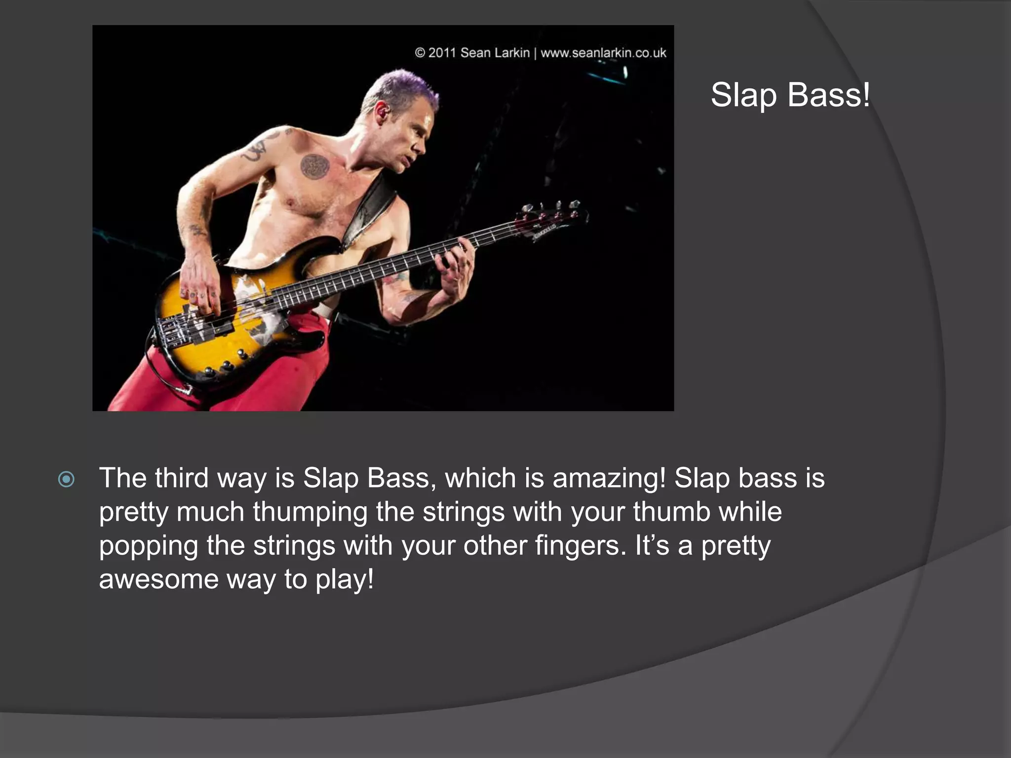 The bass guitar | PPTX