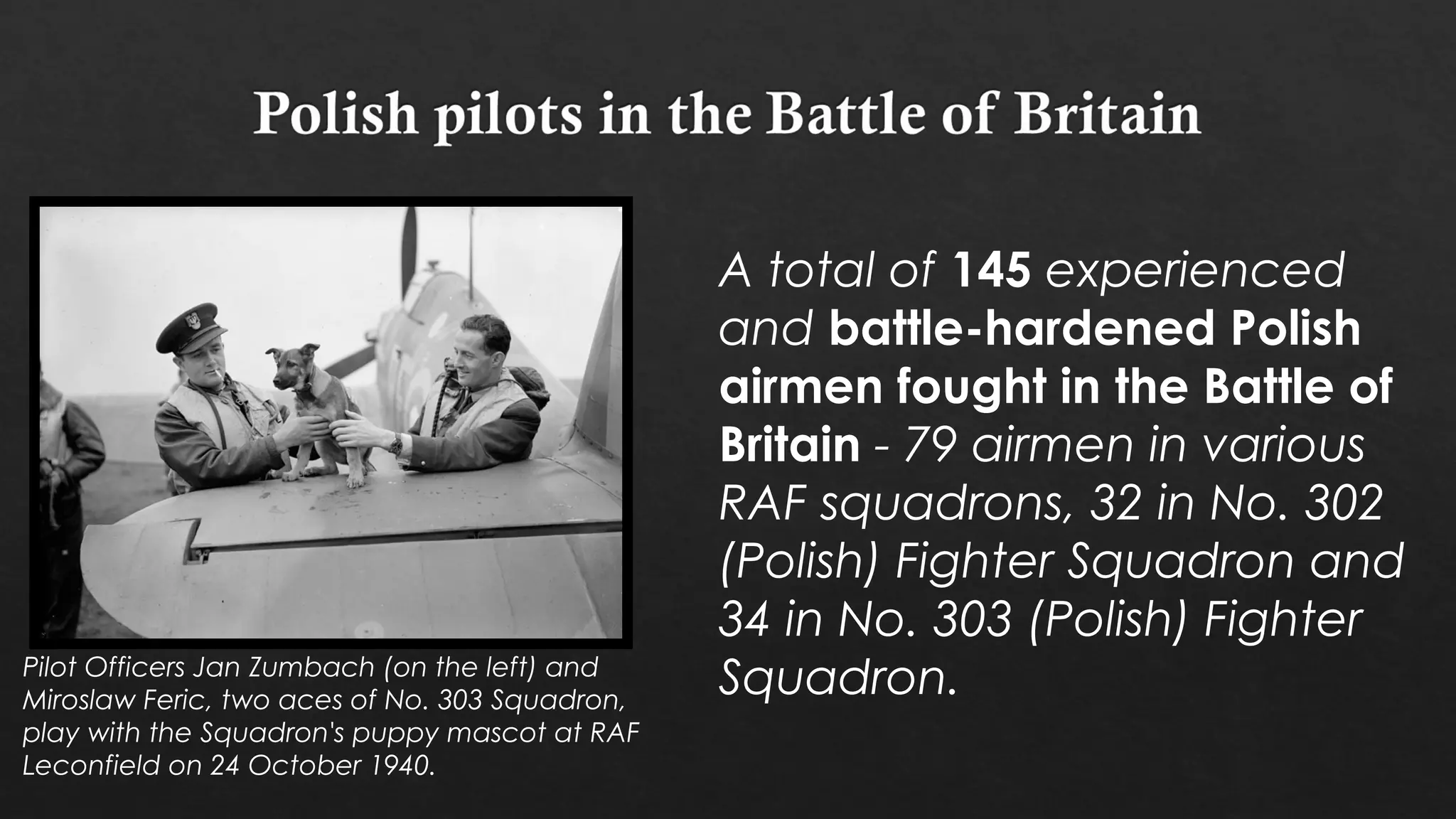 The Battle of Britain | PPT