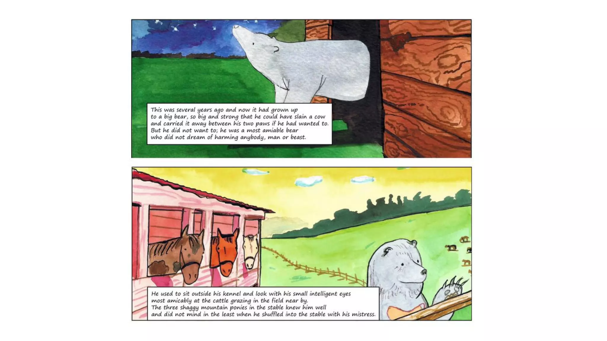 the bear story.pdf