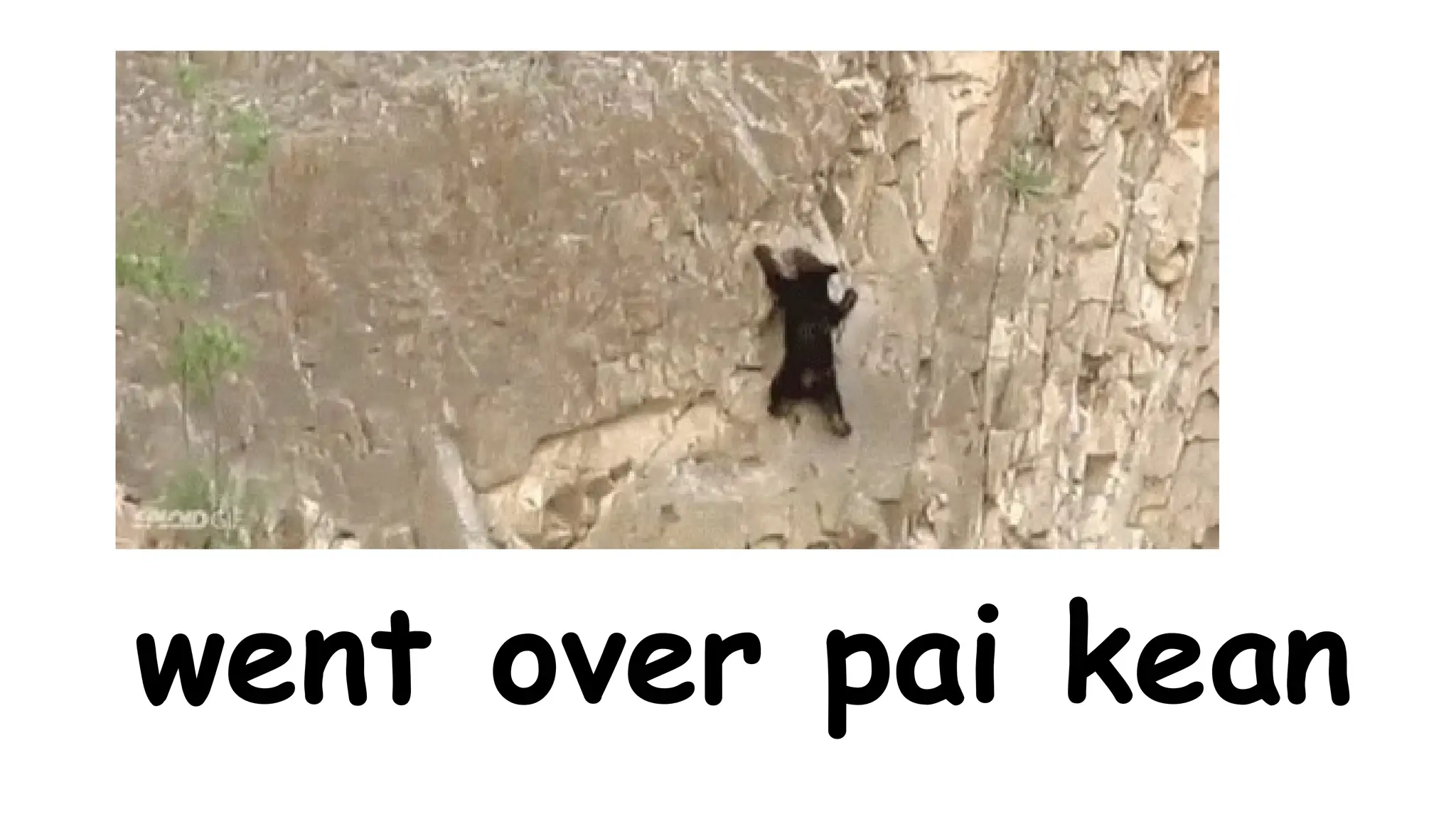 The Bear Went Over the Mountain vocabulary and lyrics | PPT