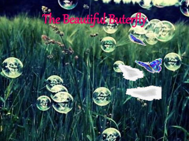 The beautiful buterfly | PPT