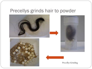 The beautiful hair, how to grind hair sample for detections | ODP