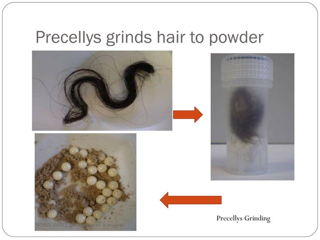 The beautiful hair, how to grind hair sample for detections | ODP