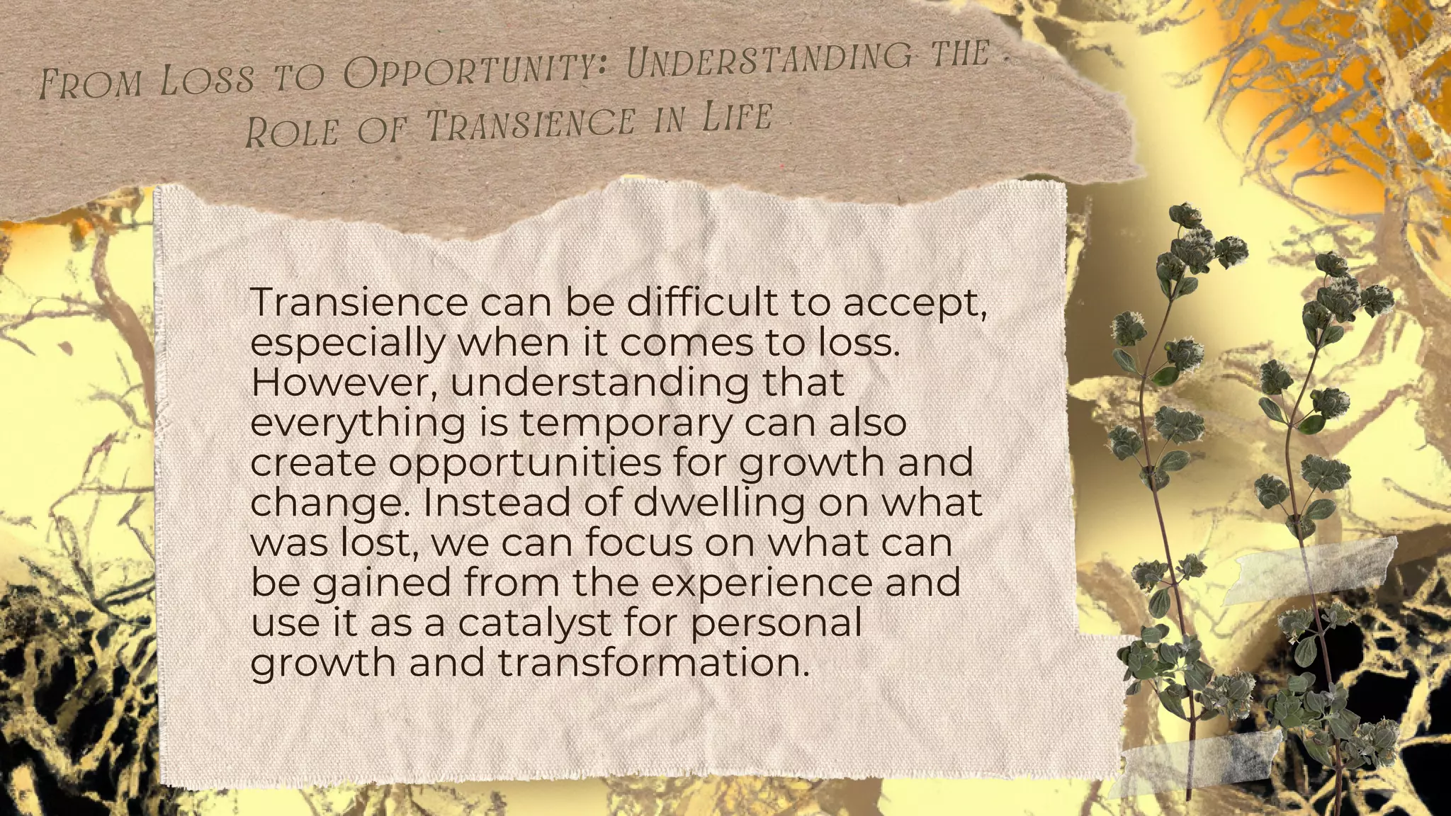 The Beauty of Transience Marta Lovegurad.pdf