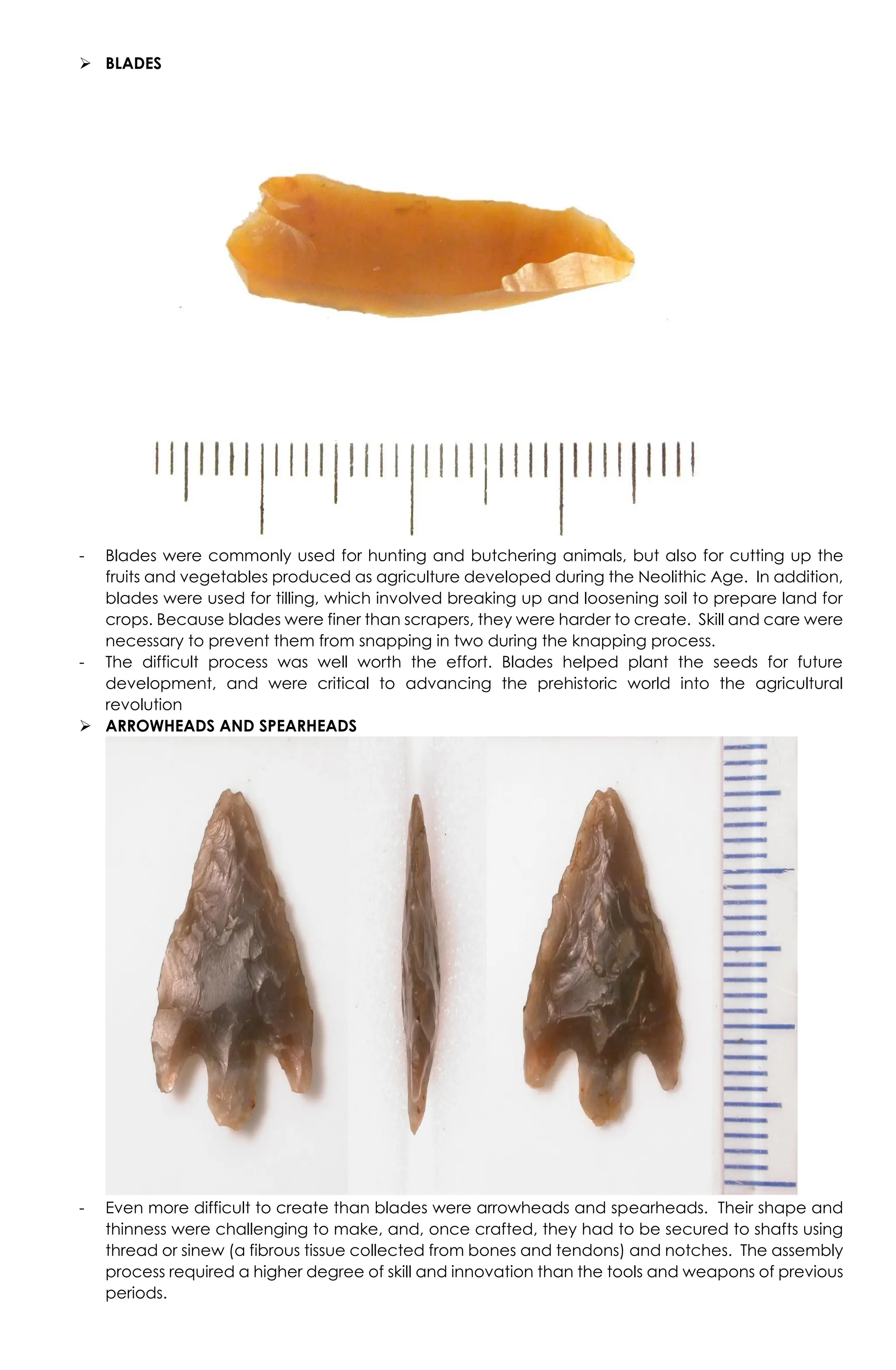 THE BEGINNINGS OF CIVILIZATION.pdf | Woodworking | Arts and Crafts