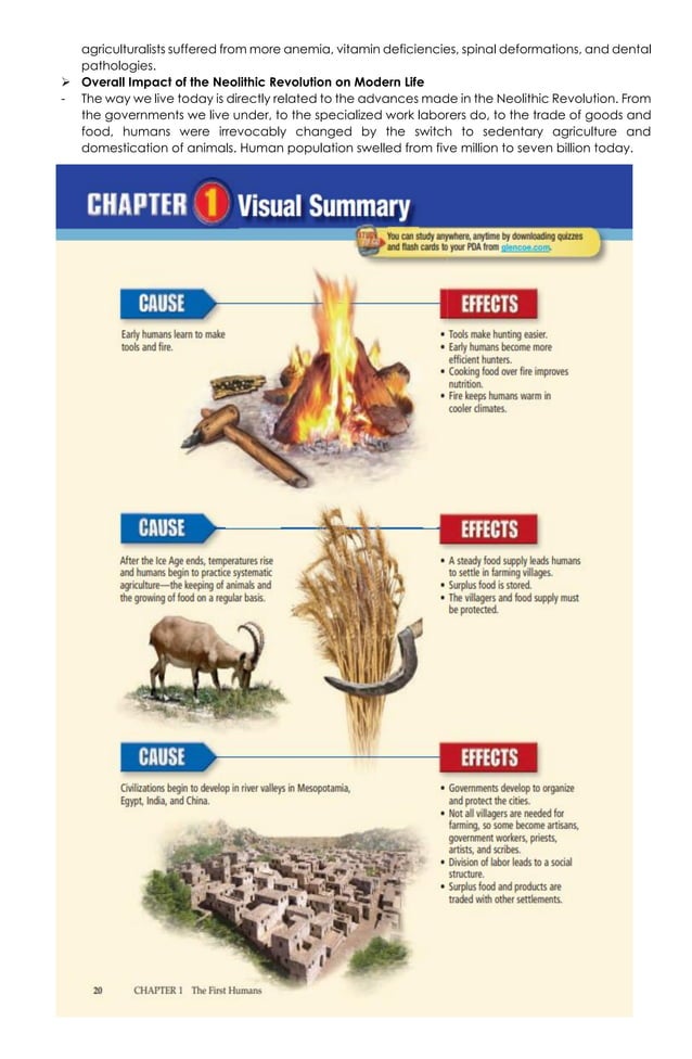 THE BEGINNINGS OF CIVILIZATION.pdf | Woodworking | Arts and Crafts