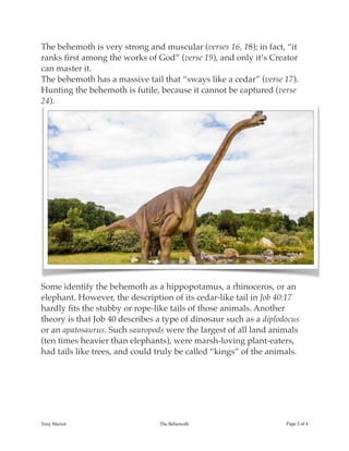 What is the Behemoth in the Old Testament? | PDF