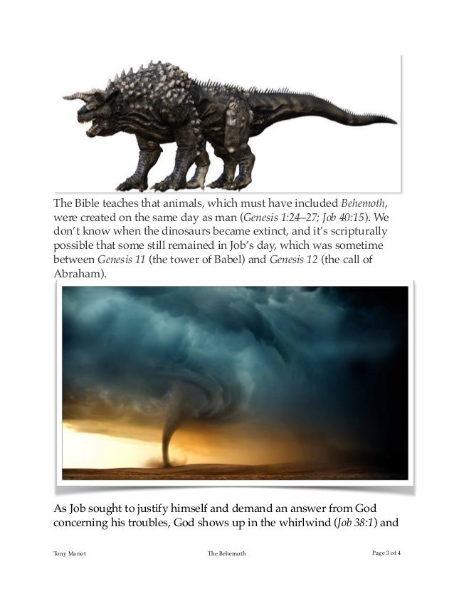 What is the Behemoth in the Old Testament?