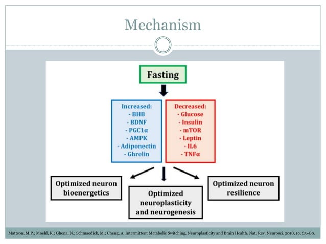 The Benefit of Fasting in Neurological Disorders | PPT