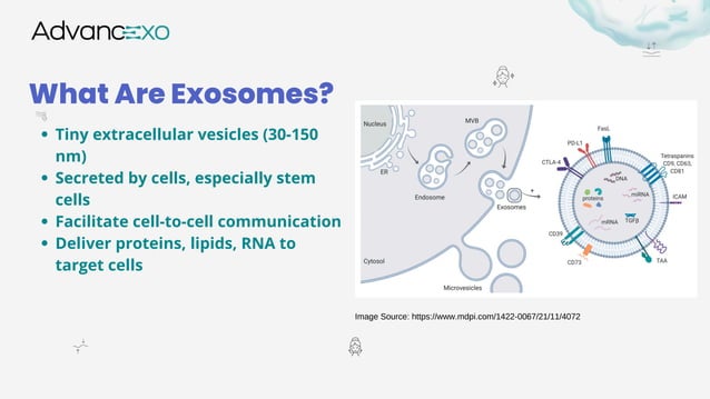 The Benefits and Applications of Exosomes for Cosmetics and Aesthetic Medicine | PPT