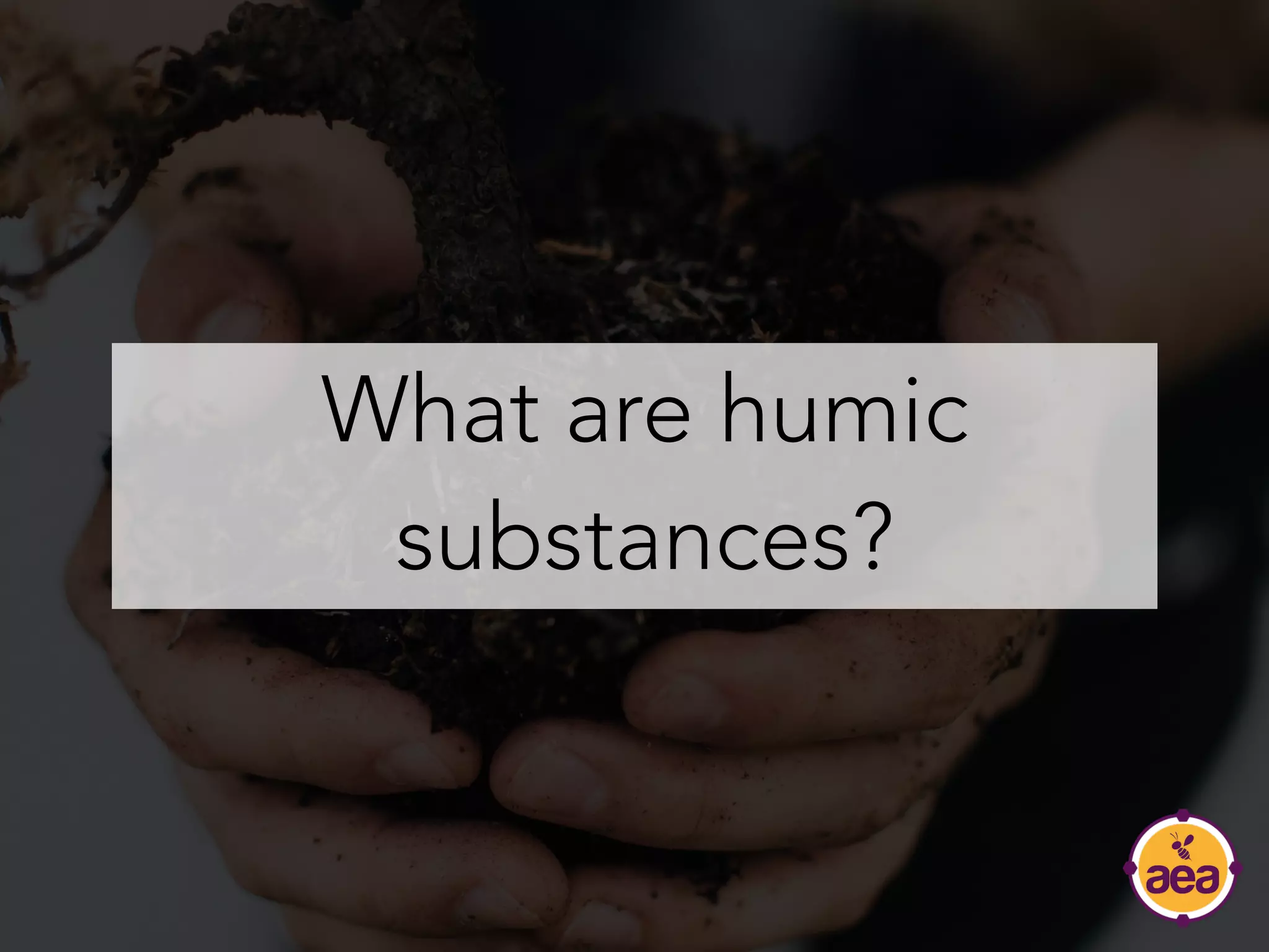 The Benefits of Humic Acids in Agriculture | PDF