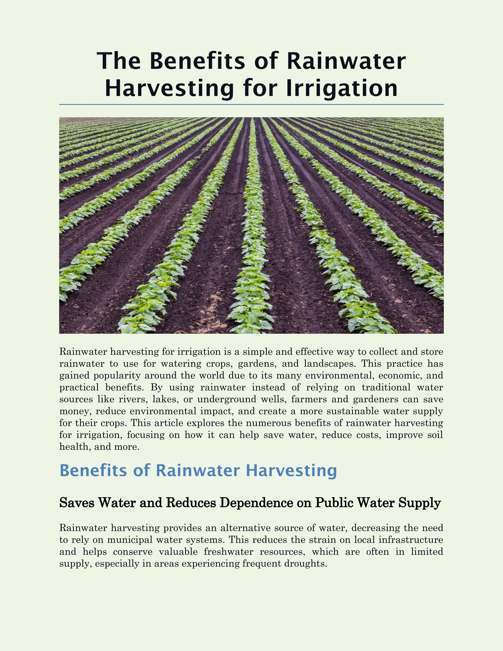 The Benefits of Rainwater Harvesting for Irrigation | DOCX