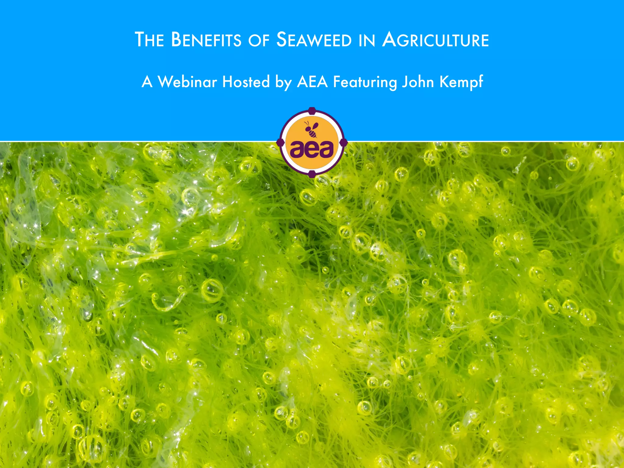 The Benefits of Seaweed in Agriculture | PDF