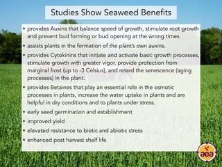 The Benefits of Seaweed in Agriculture | PDF