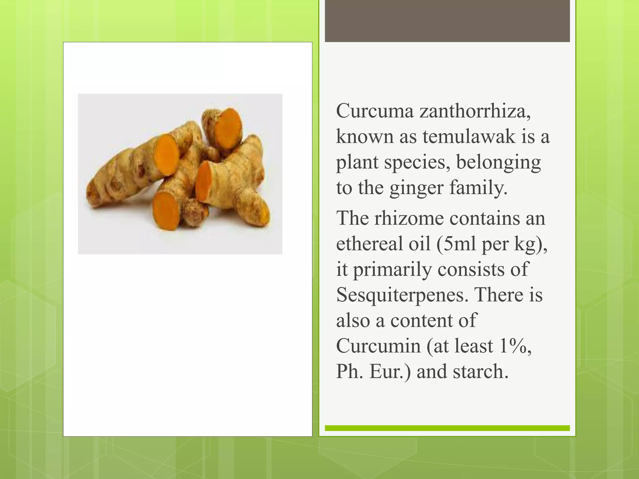 The benefits of temulawak | PPTX