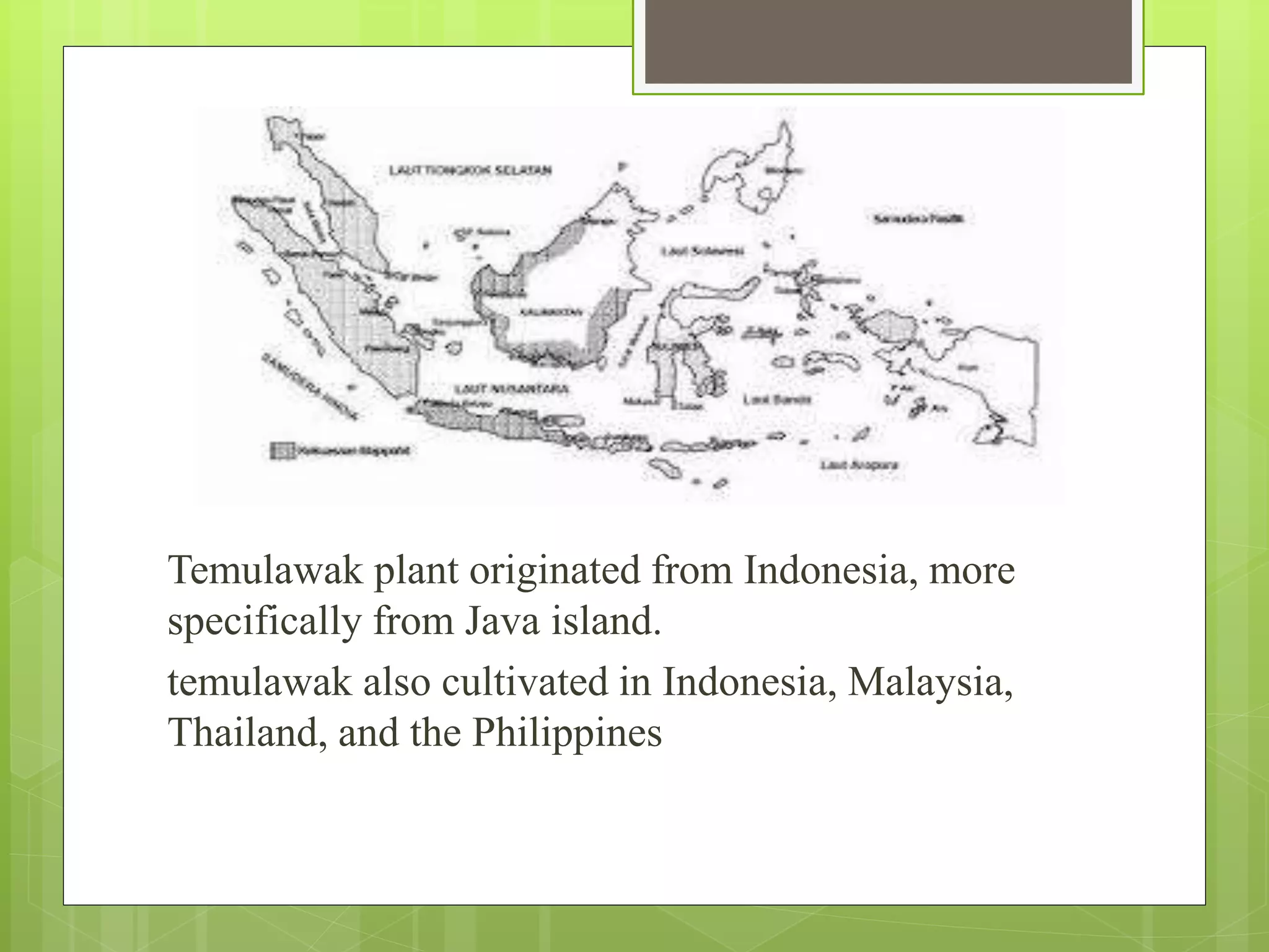 The benefits of temulawak | PPTX