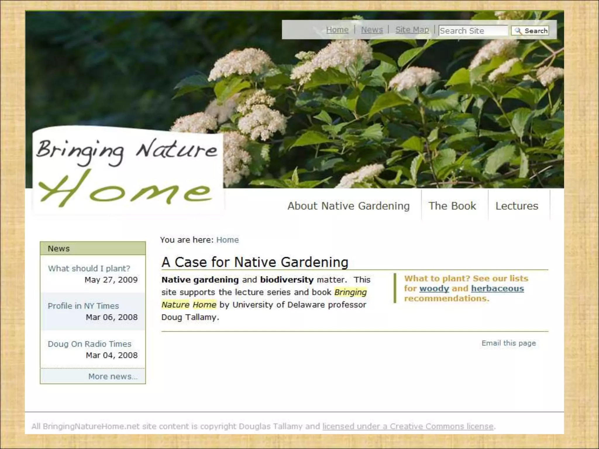 The Benefits of Trees Presentation | PPTX
