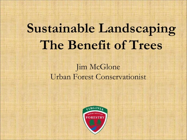 The Benefits of Trees Presentation | PPTX