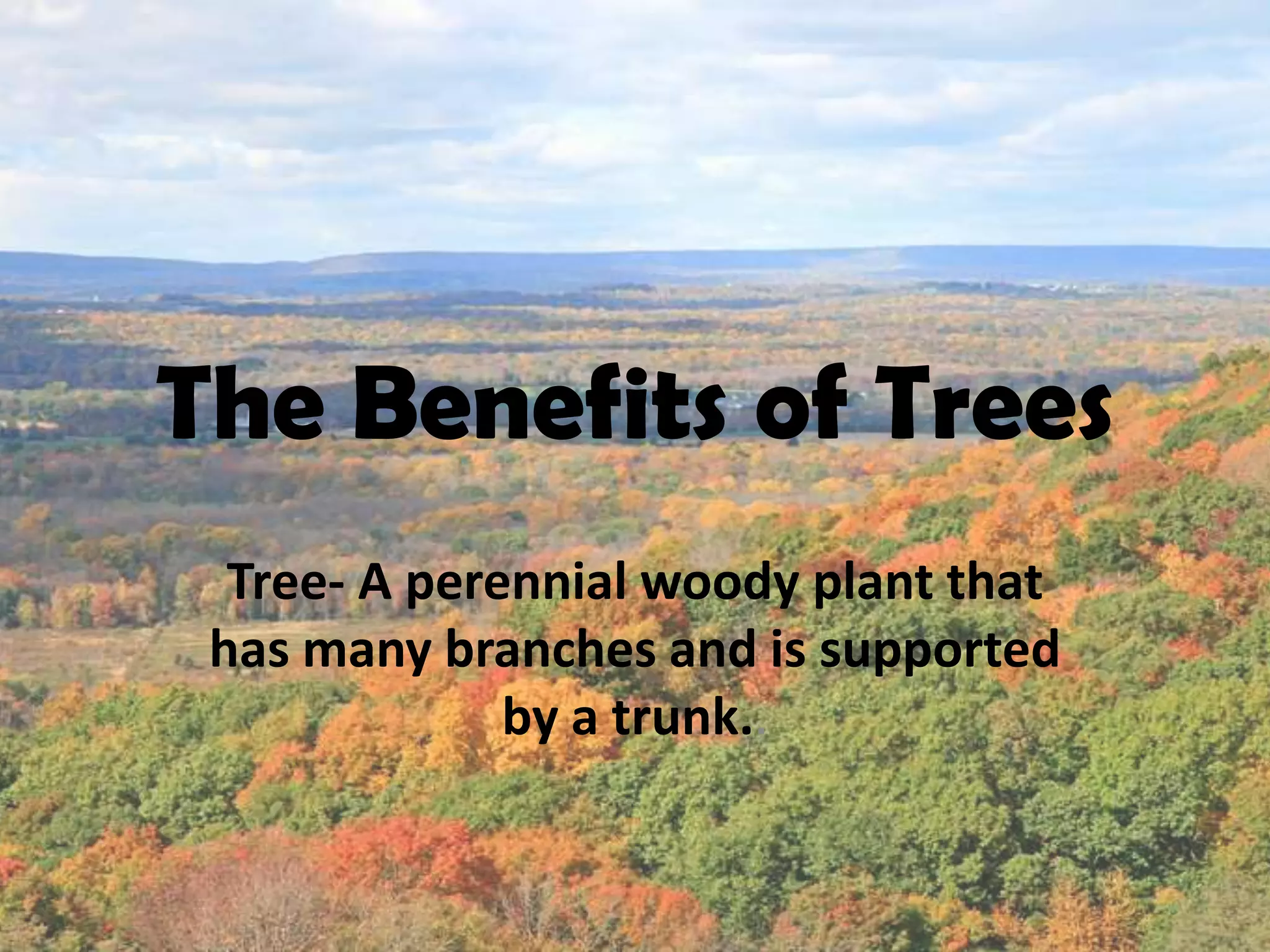 The Benefits Of Trees Non Linear Power Point | PPT