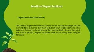 The Benefits of Using Organic Fertilizers | PPTX