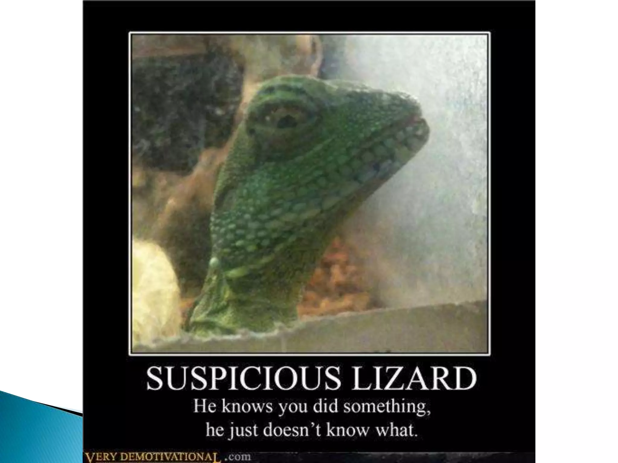 The Best Demotivational Posters on the Web | PPTX | Humor and Satire ...