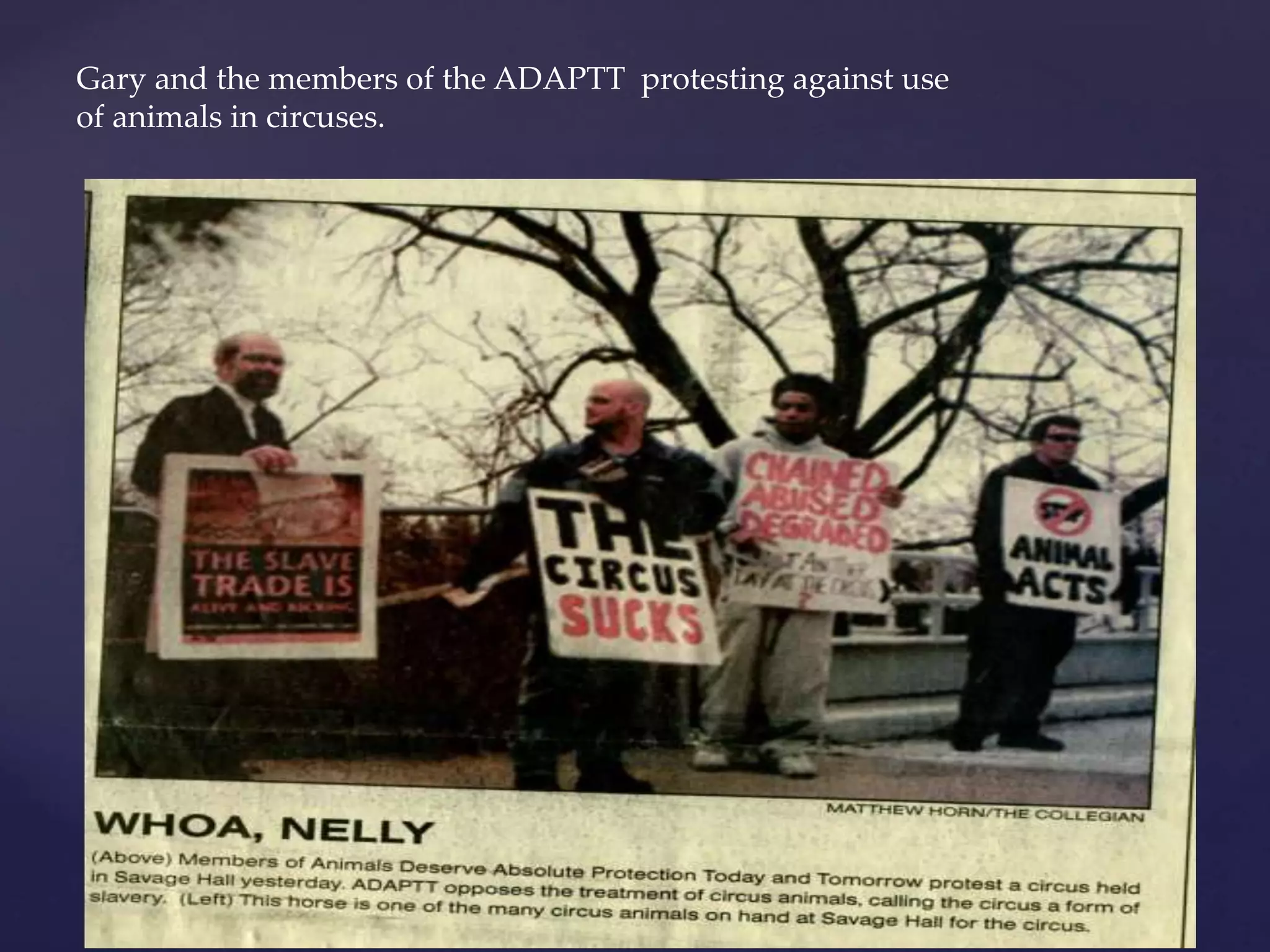 The best presentation ever | PPTX | Vegan Diets | Food & Drink