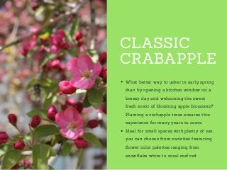 Southeastern Growers - The Best Smelling Trees For Your Yard