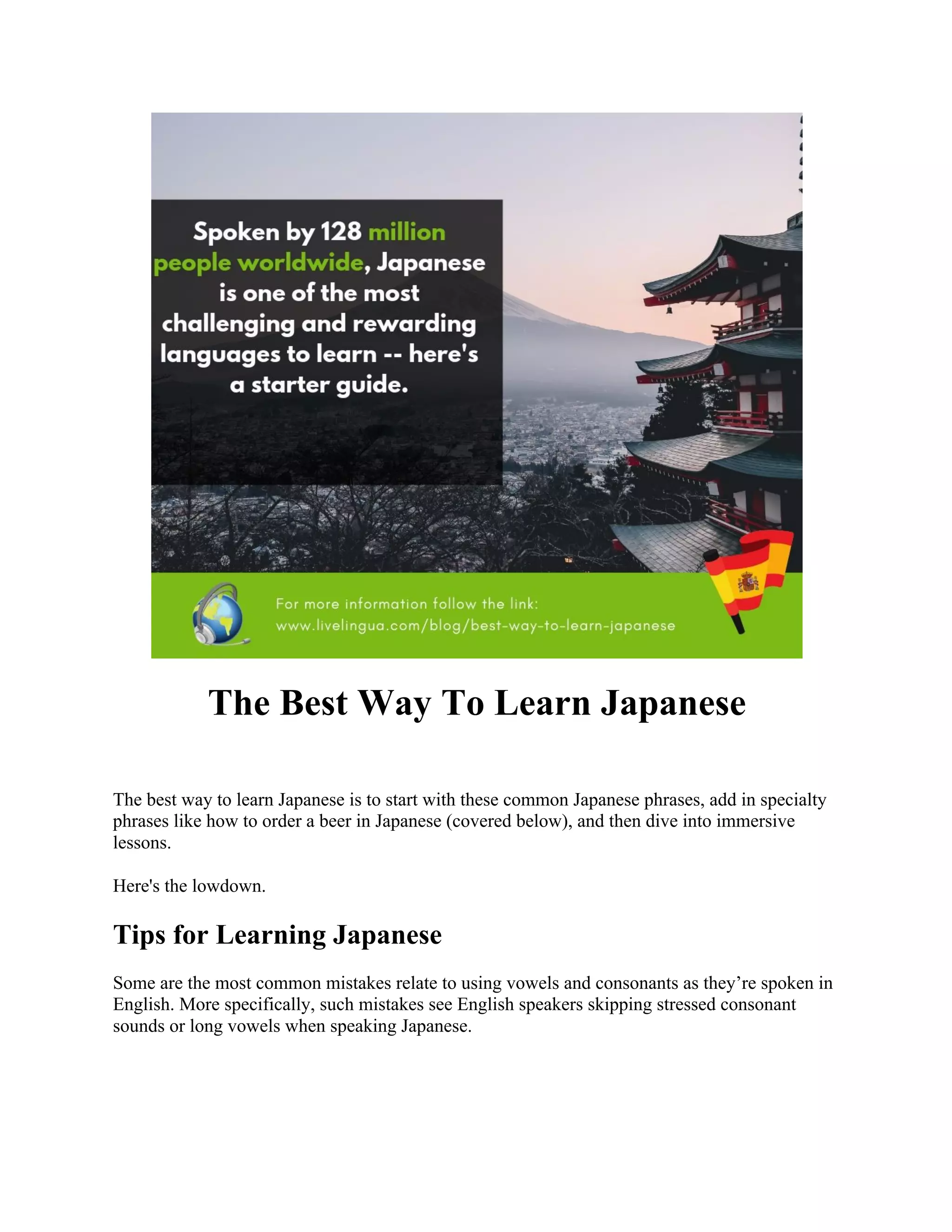 The Best Way To Learn Japanese | PDF