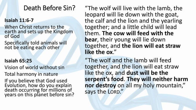 The Bible and Evolution; Are They Compatible? | PPT