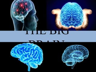 The big brain | PPTX