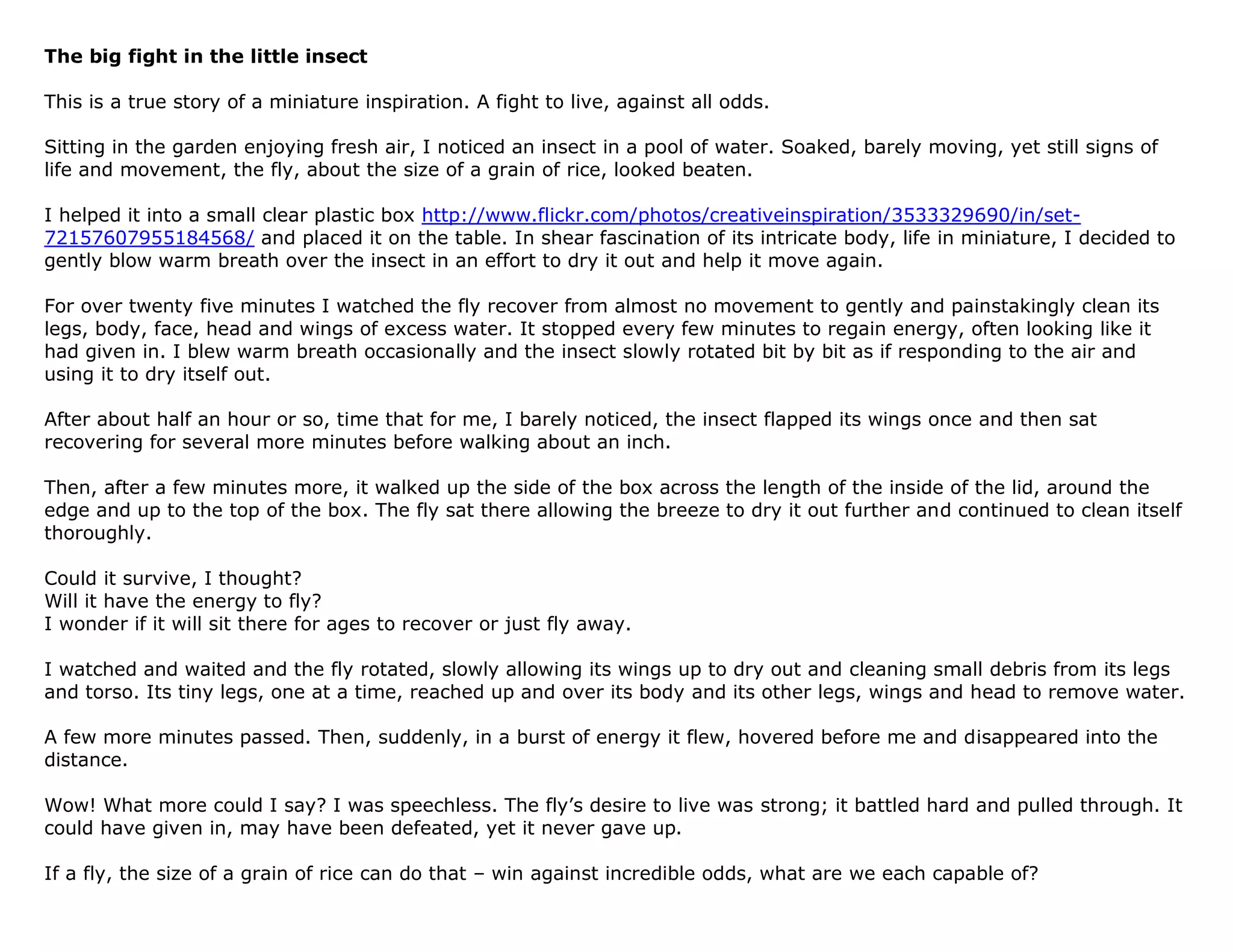 The big fight in the little insect Mind Map | PPT