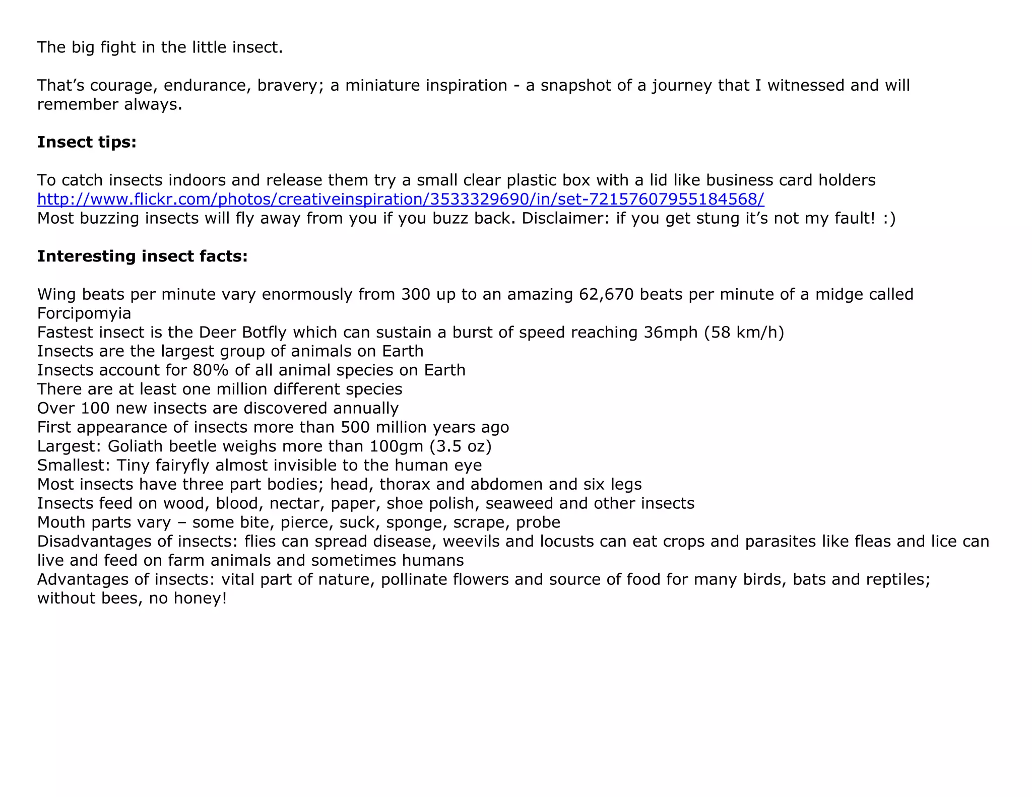 The big fight in the little insect Mind Map | PDF
