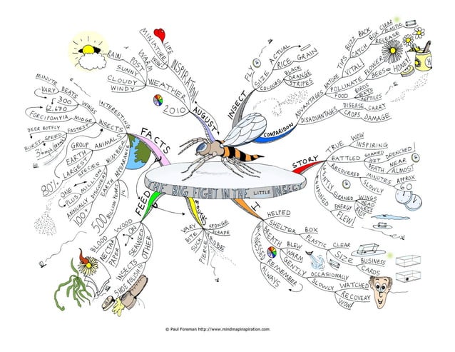 The big fight in the little insect Mind Map | PPT