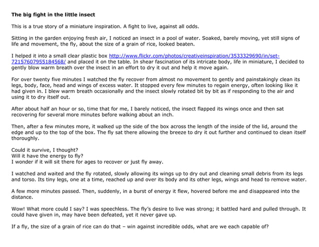 The big fight in the little insect Mind Map | PPT