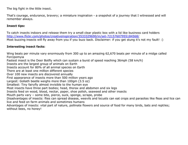 The big fight in the little insect Mind Map | PPT