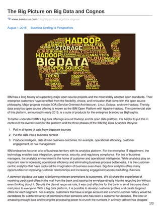 The Big Picture on Big Data and Cognos | PDF
