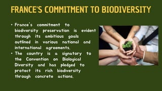 The Big Positive By France Toward Protecting Wild Animals.pptx