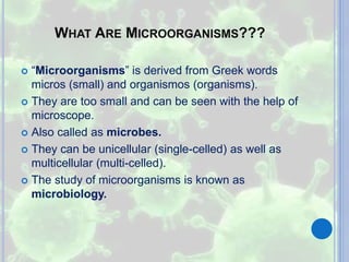 The big world of microorganisms | PPTX