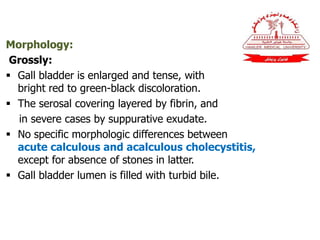 The biliary tract | PPT