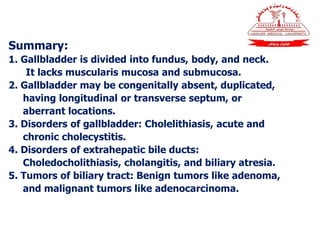 The biliary tract | PPT