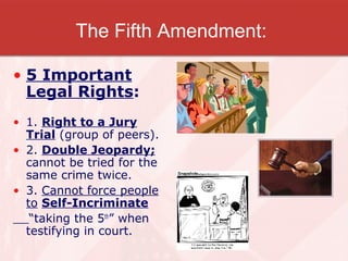 The bill of rights | PPT