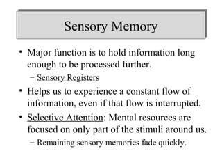 The biochemistry of memory | PPT