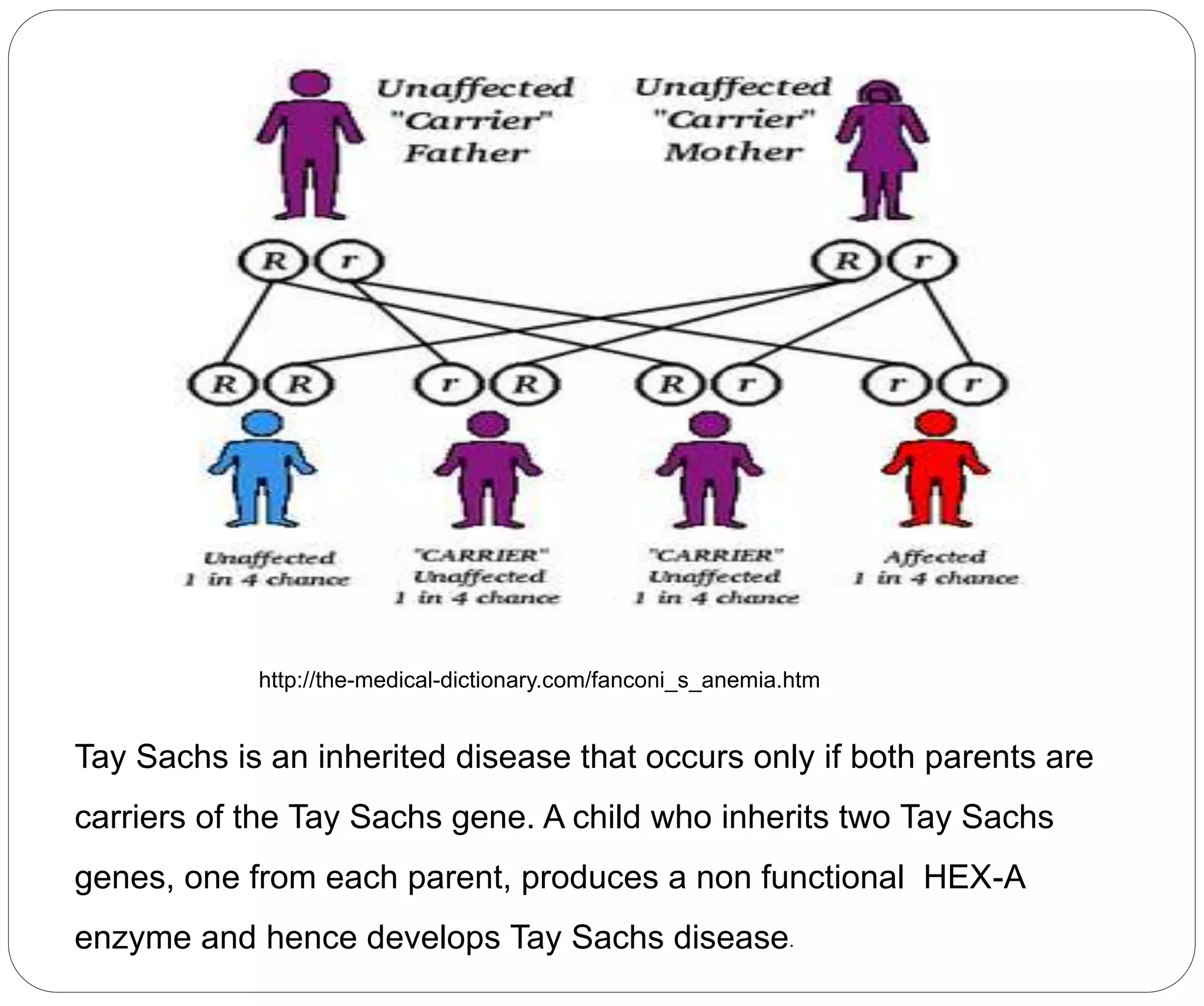 The biochemistry of tay sachs disease | PPTX