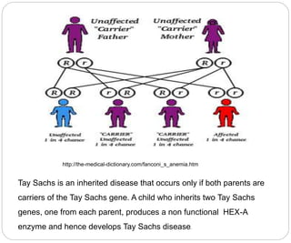 The biochemistry of tay sachs disease | PPTX