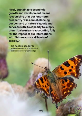 The Biodiversity Shift | An inspiration guide for nature-positive ...