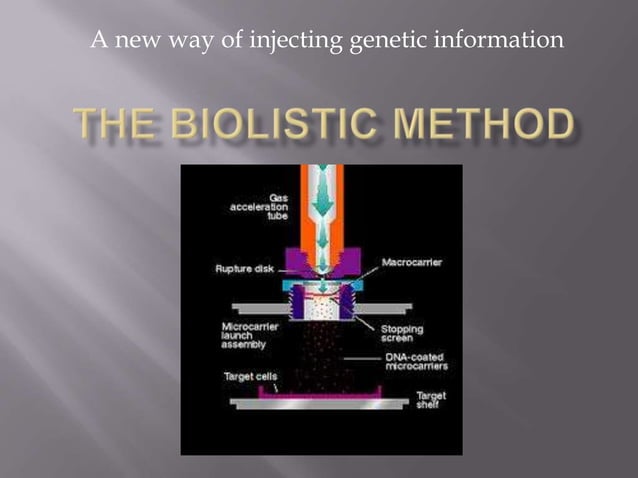 The biolistic method | PPTX | Biological Sciences | Science
