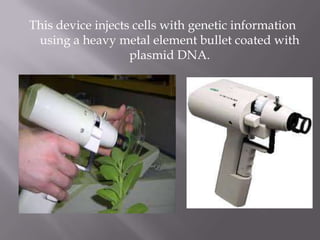 The biolistic method | PPTX