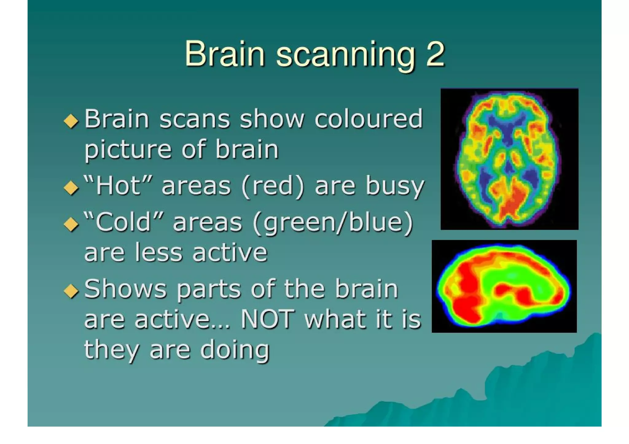 THE BIOLOGICAL APPROACH IN PSYCHOLOGY | PDF
